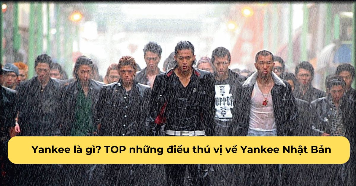 Yankee là gì? TOP những điều thú vị về Yankee Nhật Bản - Xuất Khẩu Lao ...